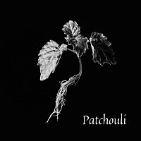Patchouli – Stardust at 432 Hz – Supraphonline.cz
